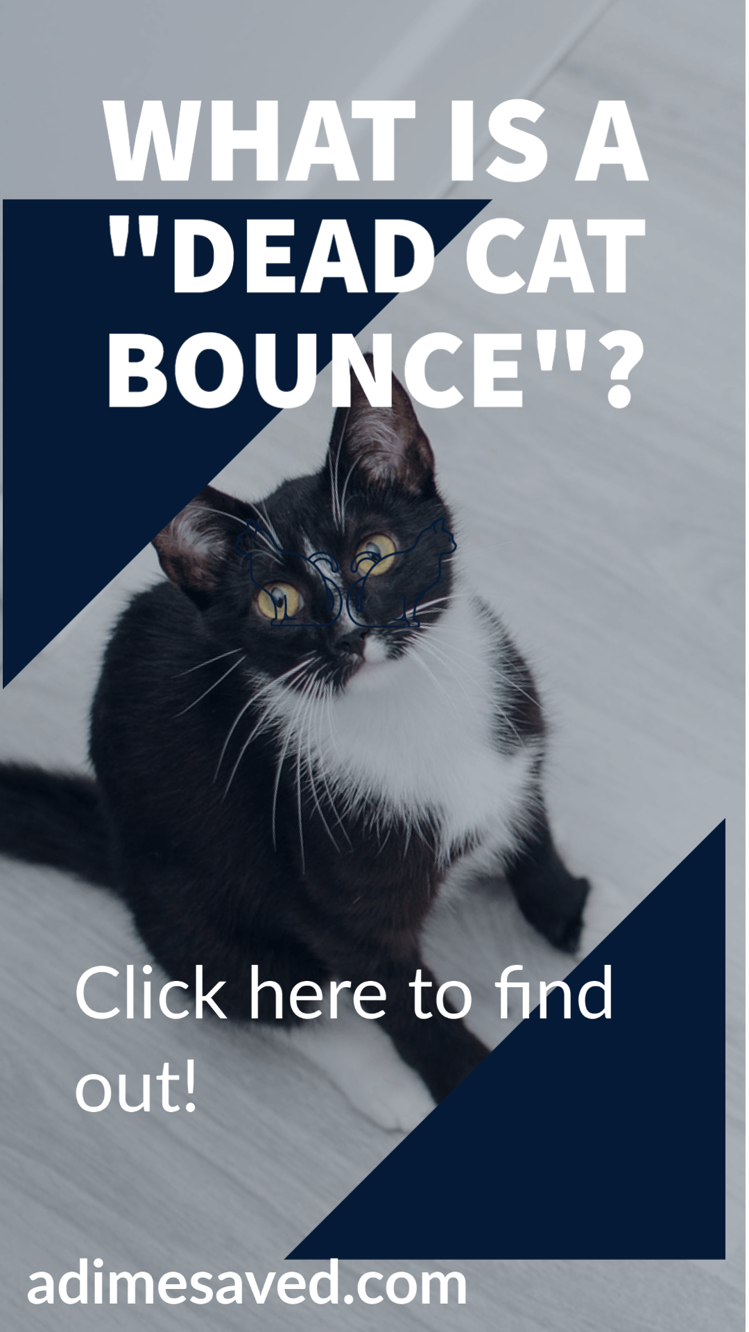 Dead Cat Bounce: A Complete Guide - A Dime Saved