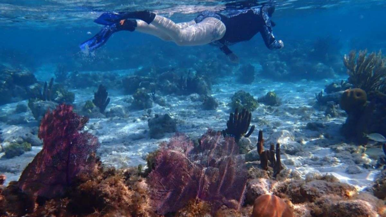 Escape Winter's Grasp: Cheap Tropical Vacations for a Much-Needed Break ...