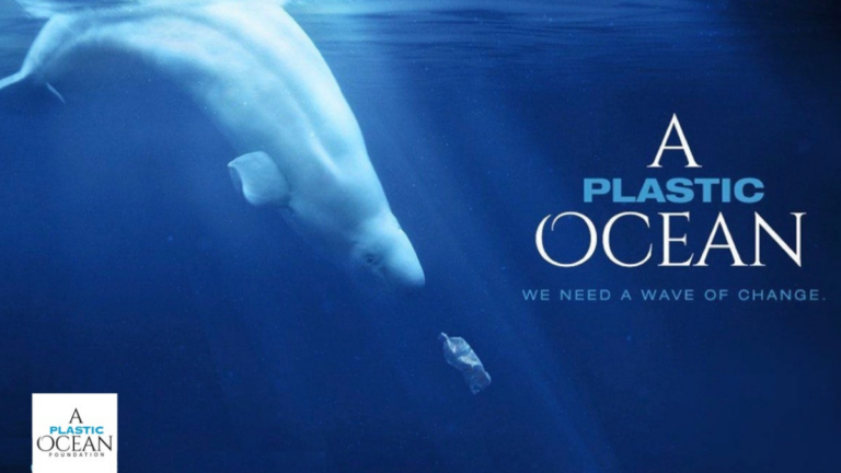 11 Netflix Shows on Sustainability You Can't Afford To Skip - A Dime Saved